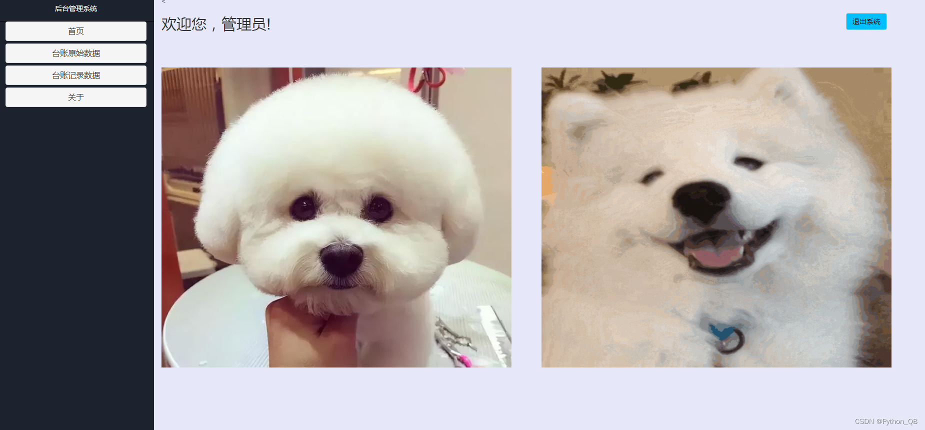 基于pythonflasksqlitebootstrap框架开发的后台管理系统利用bootstrap技术设计某金融类网站后台管理系统 Csdn博客