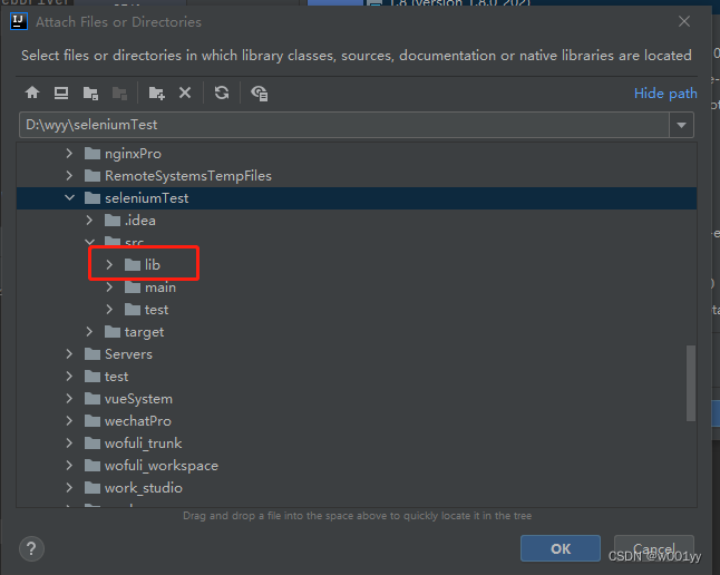 selenium的java方式打开IE浏览器_java selenuim打开ie浏览器-CSDN博客