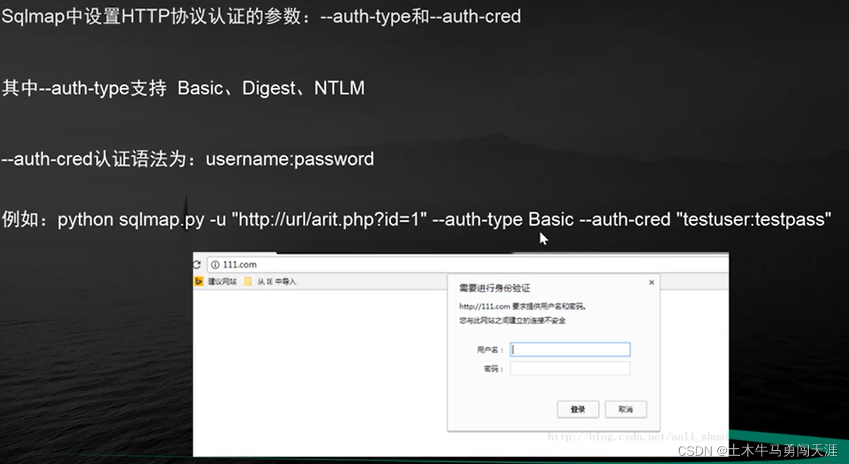 sqlmap使用指南（1）_sqlmap直接连接数据库-CSDN博客