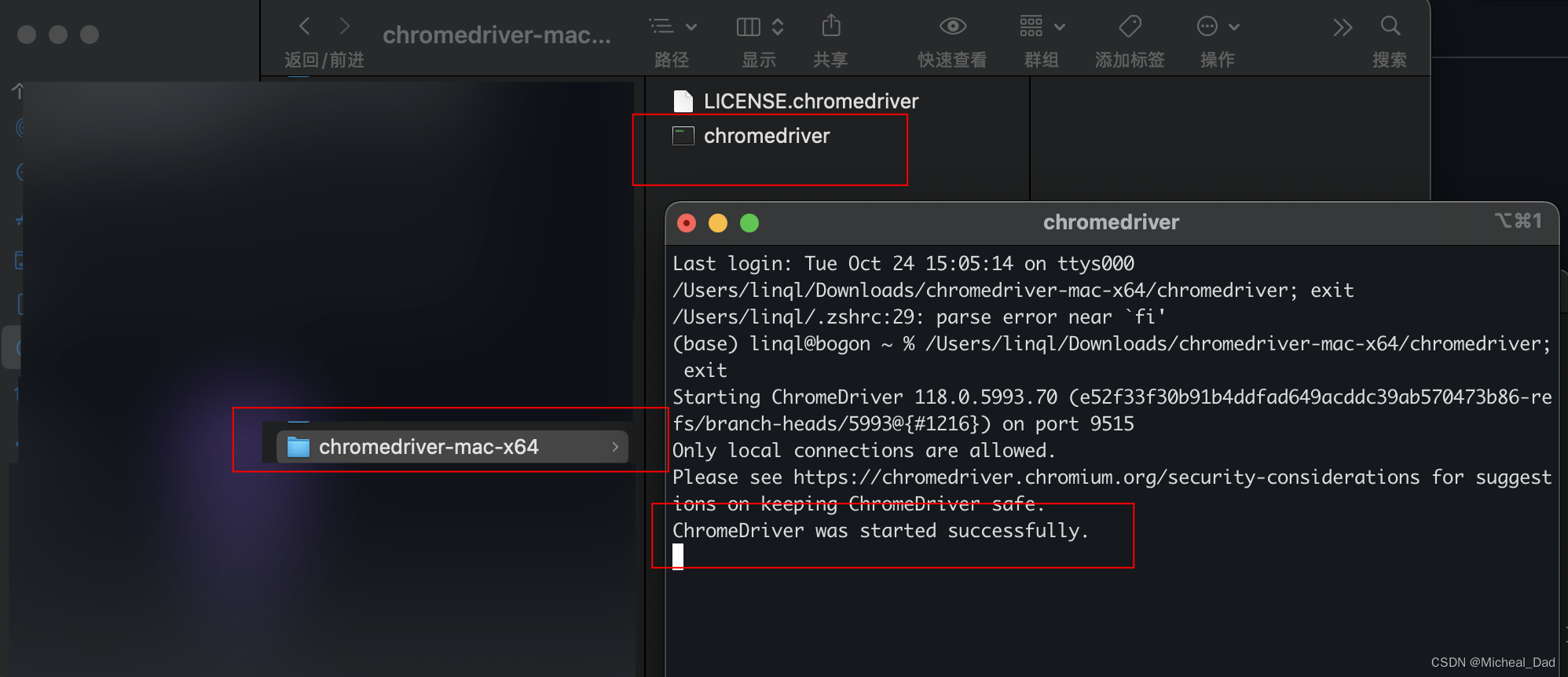 随记 Python Selenium Chrome 在mac和win系统上实现 Mac Python 安装 Webdriver
