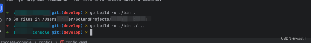 no Go files in ...问题-CSDN博客
