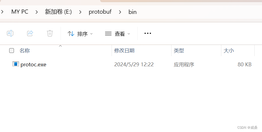 关于最新版本protobuf在Windows环境下编译失败的解决办法_windows10 protobif3.21编译-CSDN博客