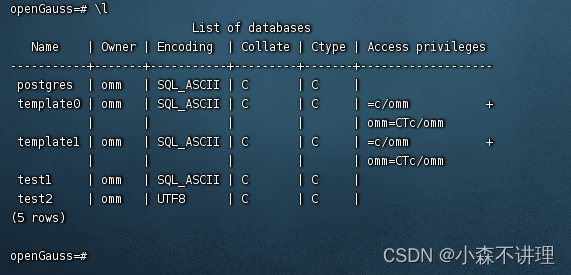 openGauss数据库配置详解：pg_xlog,pg_hba.conf及连接参数,-CSDN博客