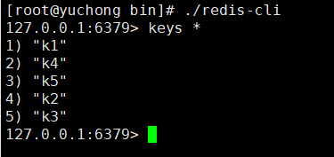 Redis的RDB和AOP持久化及配置_redis如何开启开启aop rdb-CSDN博客