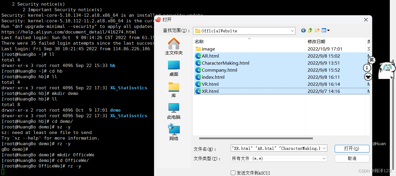 XShell（Linux）下Nginx配置静态html（安装NGINX）_linux配置html地址-CSDN博客