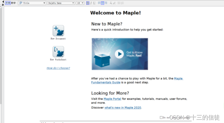 探索未被大众熟知的数学神器：Maple的强大功能与应用-CSDN博客