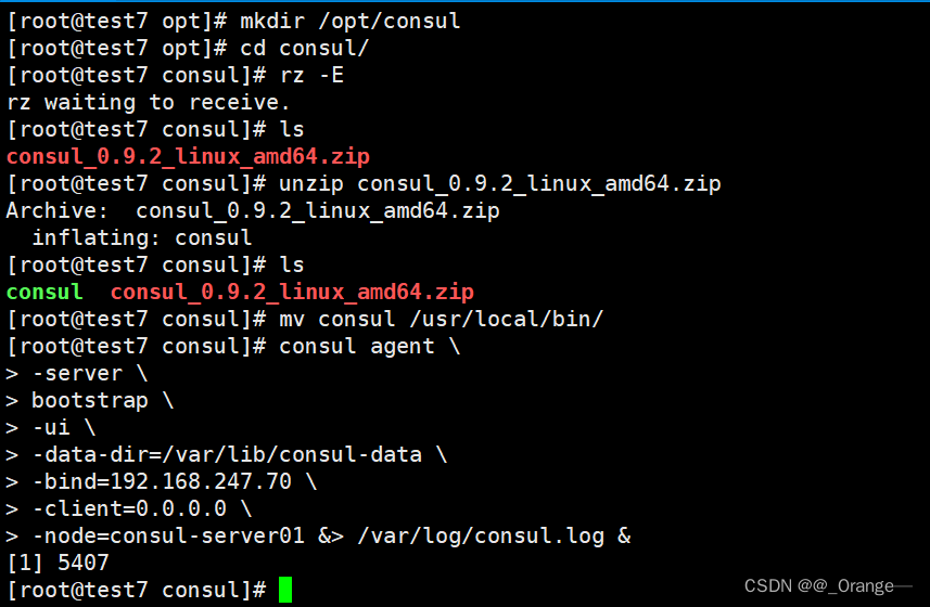 Docker-consul容器服务更新与发现_docker容器更新-CSDN博客
