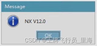 UG\NX二次开发 获取当前NX的版本号_ug二次开发代码验证法-CSDN博客