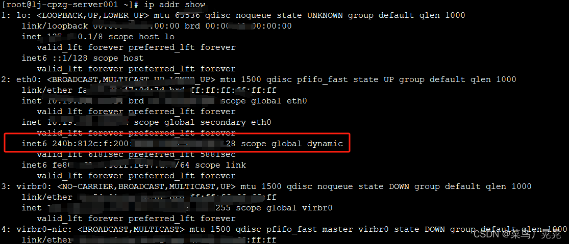 Linux下nginx、keepalived及haproxy配置ipv6_haproxy ipv6-CSDN博客