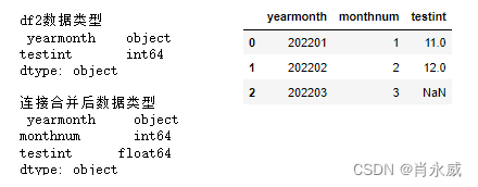 Pandas数据类型自行变换及数据类型转换失败情况分析与解决方法_dataframe无法转换为float-CSDN博客