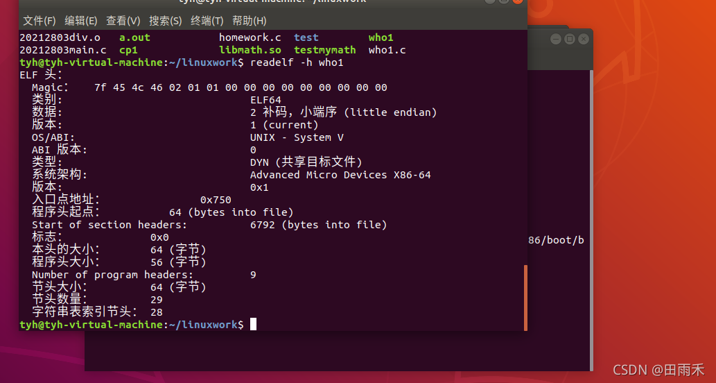 Linux内核中的ELF文件解析与execve系统调用-CSDN博客