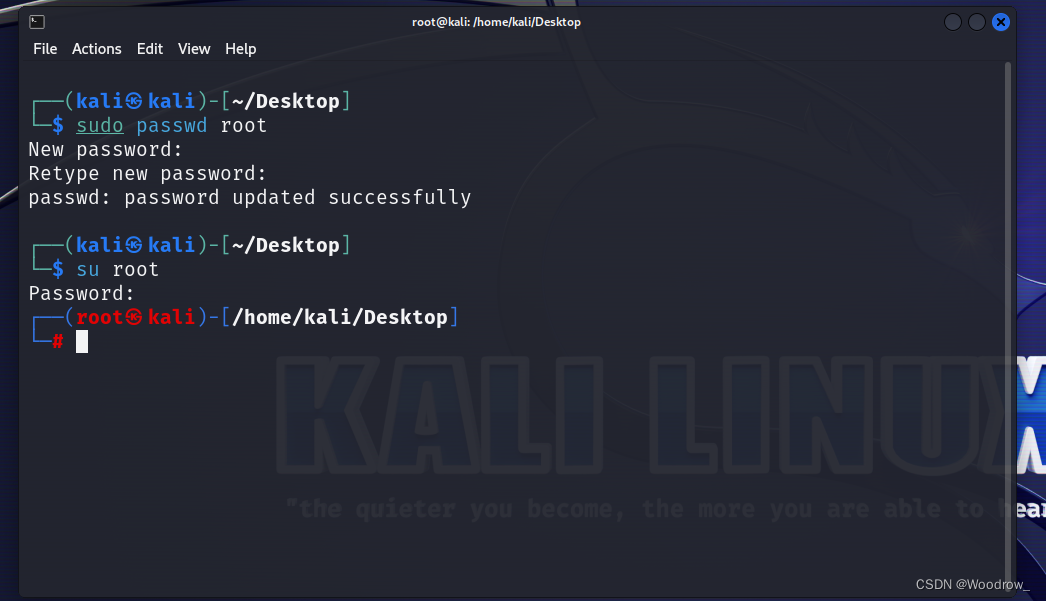 kali系统修改相关配置（切换root用户，修改pip镜像源）_kali修改pip源-CSDN博客
