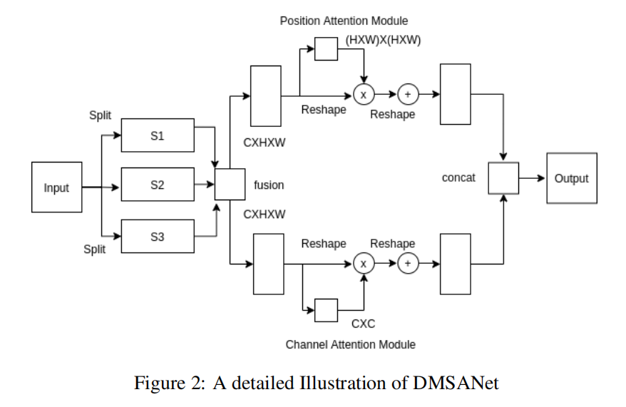 DMSANet: Dual Multi Scale Attention Network-CSDN博客