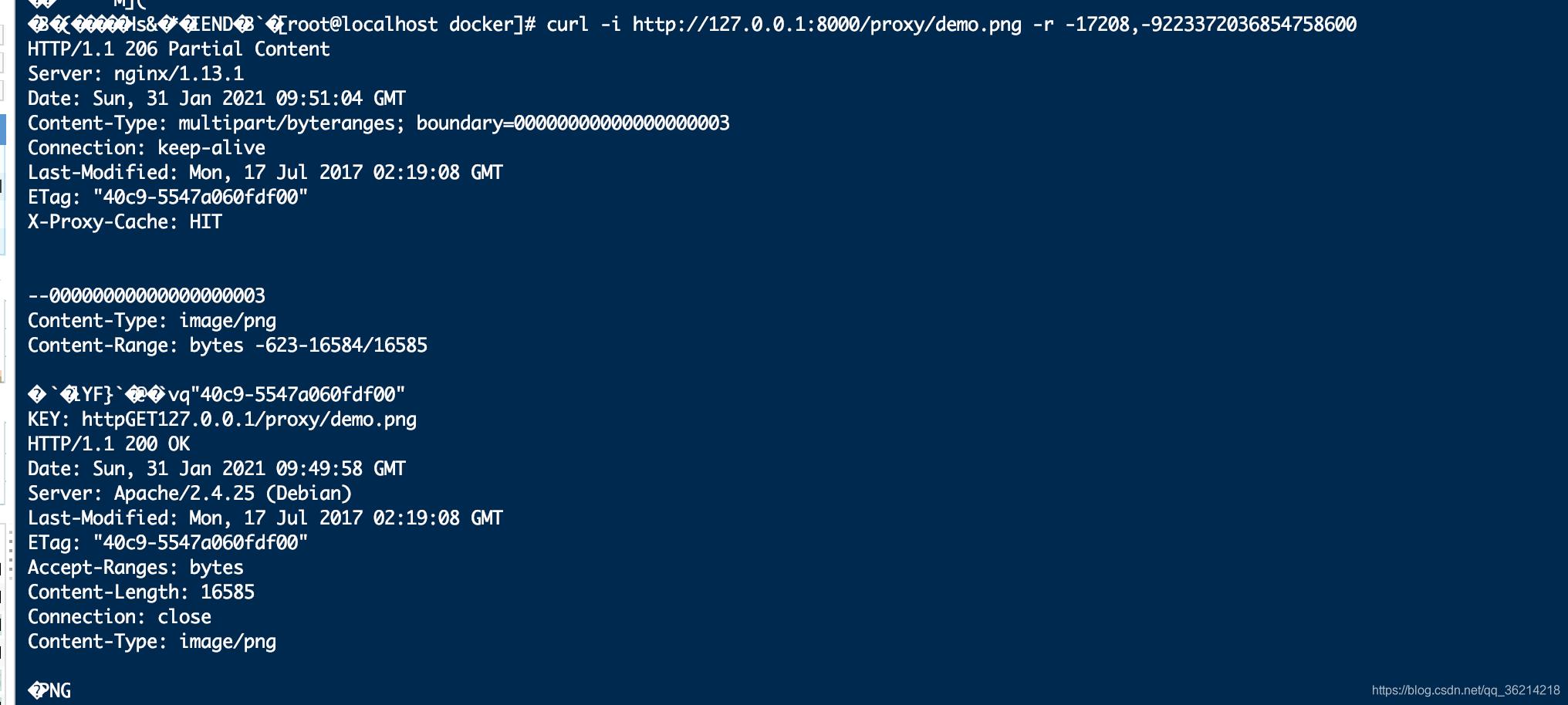 Docker搭建nginx整数溢出漏洞（cve 2017 7529）及python Poc验证 Csdn博客 