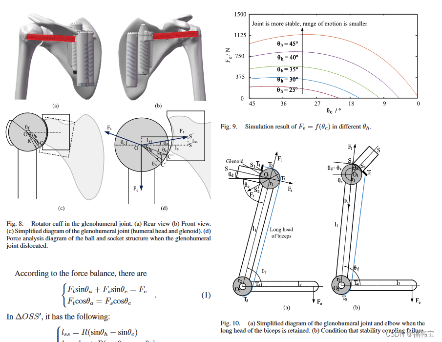 Development and Characteristics of a HighlyBiomimetic Robotic Shoulder ...