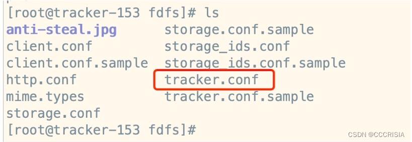 配置FastDFS：搭建Tracker与Storage服务-CSDN博客