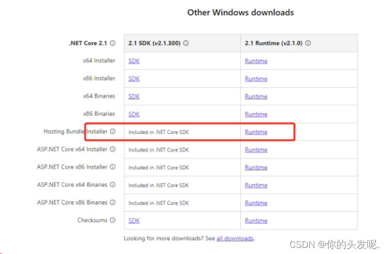 .net core 发布到iis_。net core iis 发布-CSDN博客