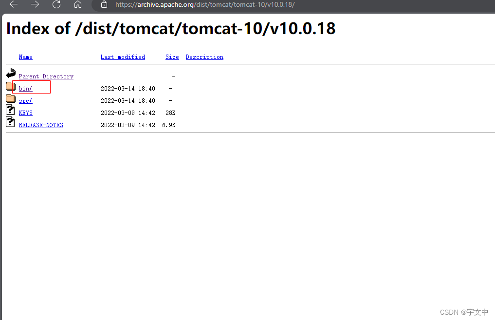 Tomcat9升级Tomcat10_tomcat9升级到10-CSDN博客