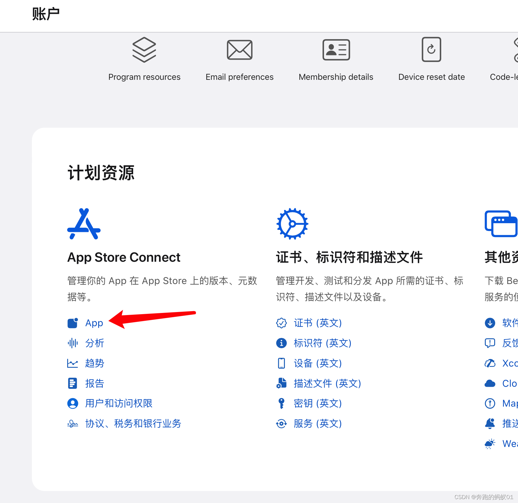 【原创 附源码】flutter集成apple支付详细流程 附源码 Flutter Apple Pay Csdn博客