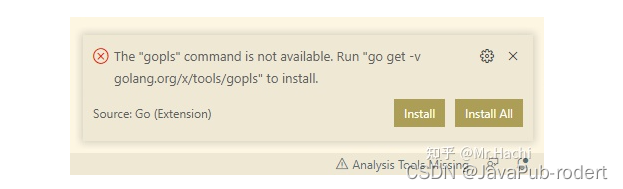 The “gopls“ command is not available. Run “go get -v golang.org/x/tools/gopls“ to install.【已解决 ...