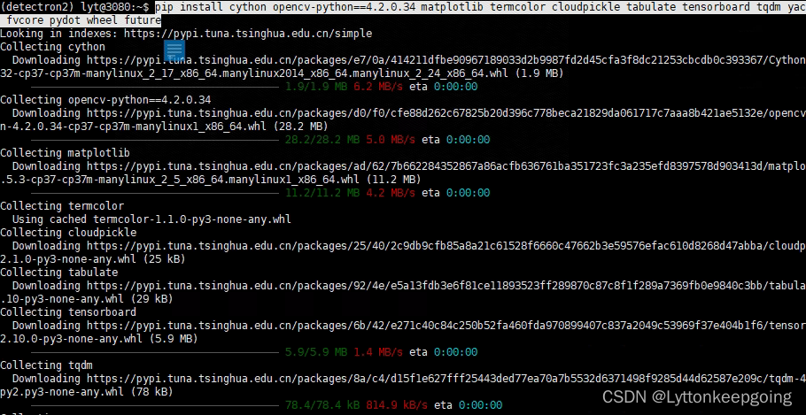 Detectron2环境配置加测试（Linux）_linux安装detectron2-CSDN博客
