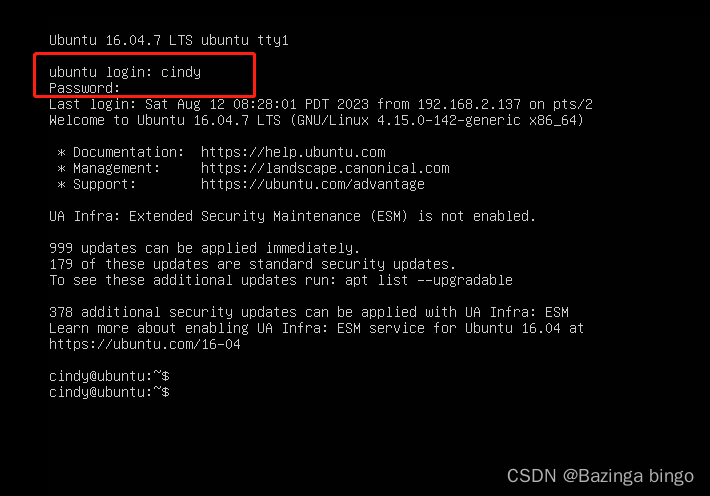 [ VMware 虚拟机 ] 启动不了图形界面，报 “The system is running in low-graphics mode” 错误_vmware开机没有图形界面-CSDN博客