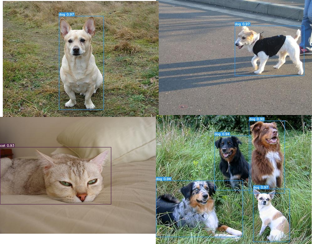 【模型训练】yolov7猫狗检测_yolo算法实现猫狗识别-CSDN博客