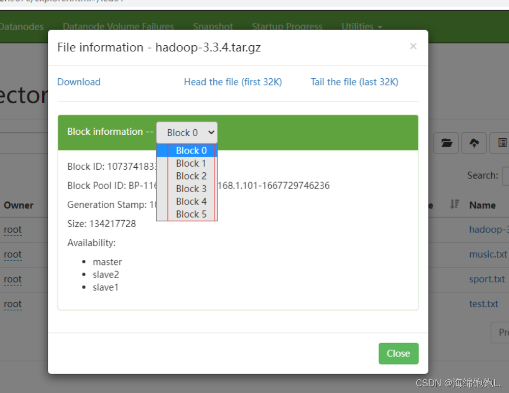 HDFS命令实战-CSDN博客