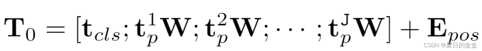 《Vision Mamba: Efficient Visual Representation Learning with ...