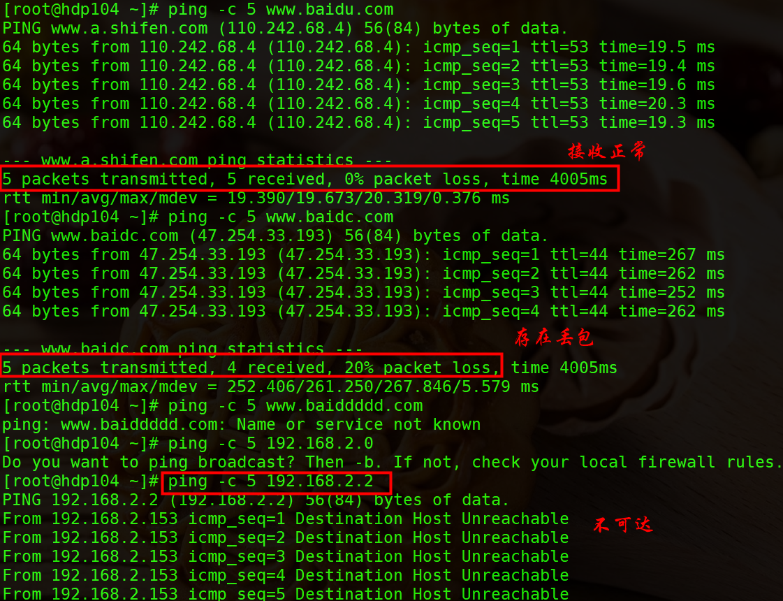 【Linux】网络诊断 ping命令详解_linux ping-CSDN博客