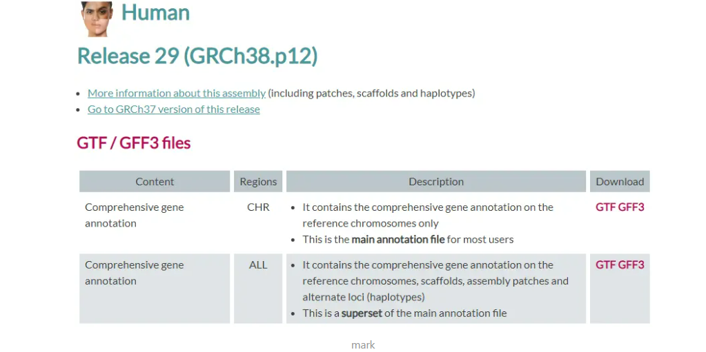 【定量工具-featureCounts安装及使用】零基础看懂运行代码，报错大赏Q&A-CSDN博客