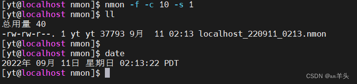 Linux性能监控命令_nmon 安装与使用_nmon命令-CSDN博客
