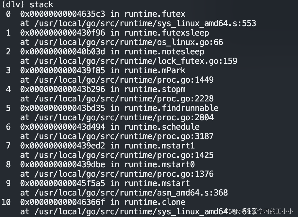 【golang的gdb之dlv】_golang dlv-CSDN博客