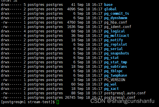 PostgreSQL - 基于pg_basebackup实现主从流复制_postgresql12 主从流复制-CSDN博客