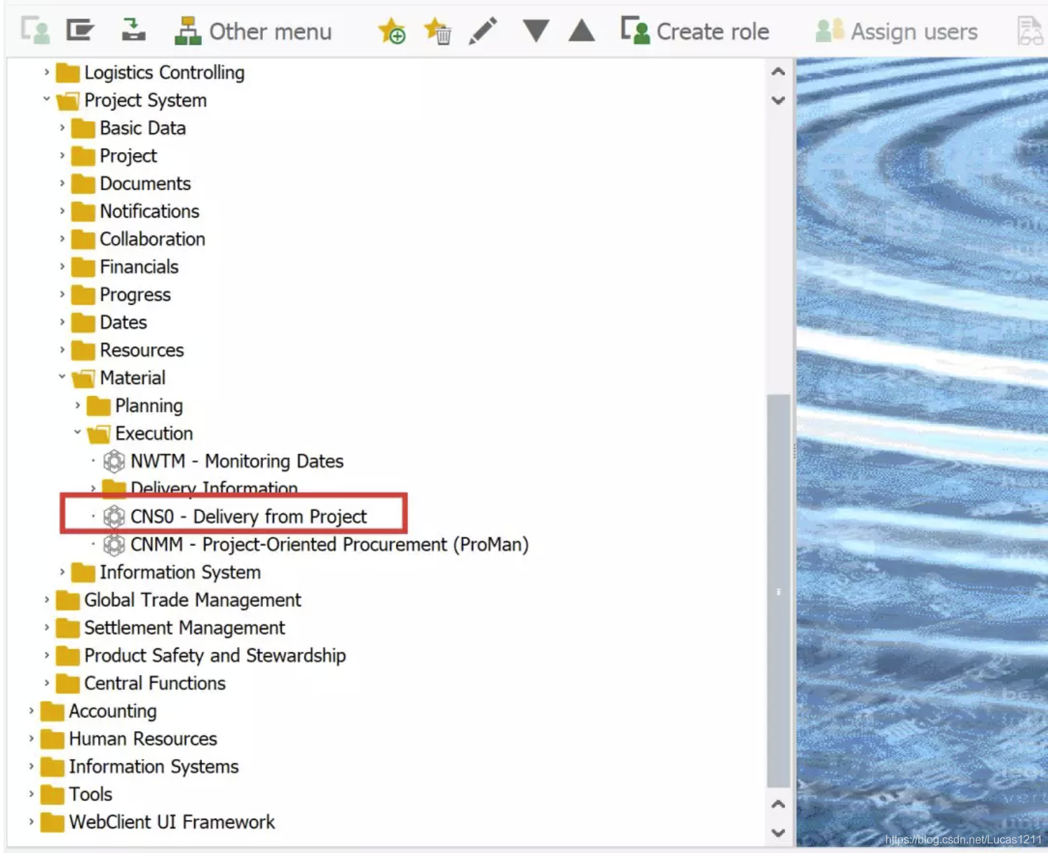 跟着团子学SAP PS：CNS0 项目发货_sap cns0-CSDN博客