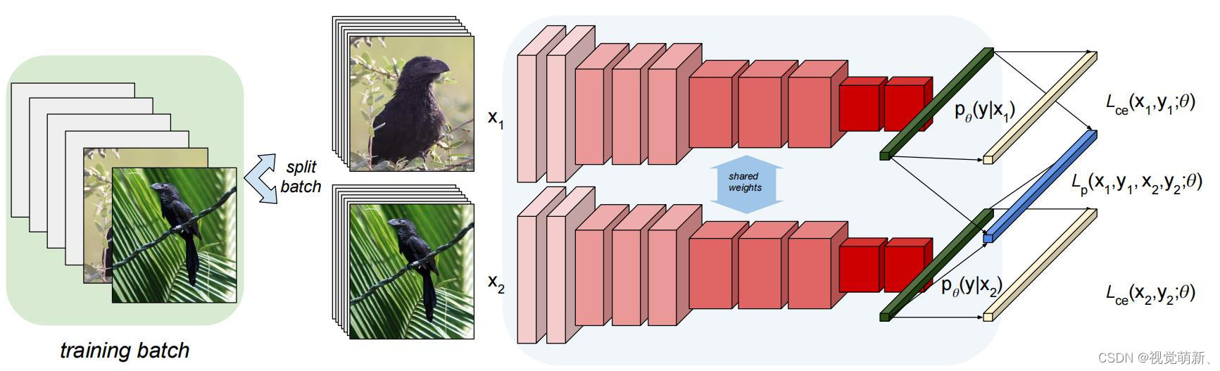 细粒度分类算法笔记汇总_pmg细粒度-CSDN博客