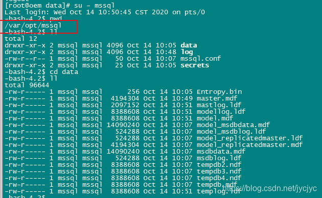 sqlserver2019+centos7.7的rpm方式安装_sqlserver那个一个rpm包比较好-CSDN博客