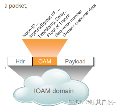 谈谈网络遥感技术，从主动探测与被动探测再到Netflow与INT-CSDN博客