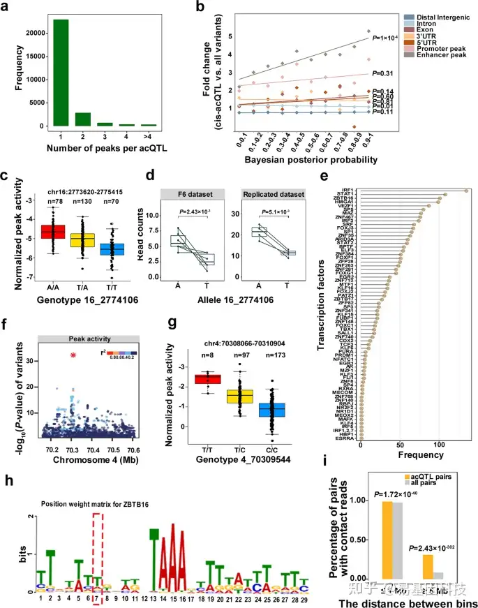 易基因：ChIP-seq等组学分析揭示猪肝脏组织的H3K27ac状态和基因表达遗传调控｜动物育种_h3k27ac transposon-CSDN博客