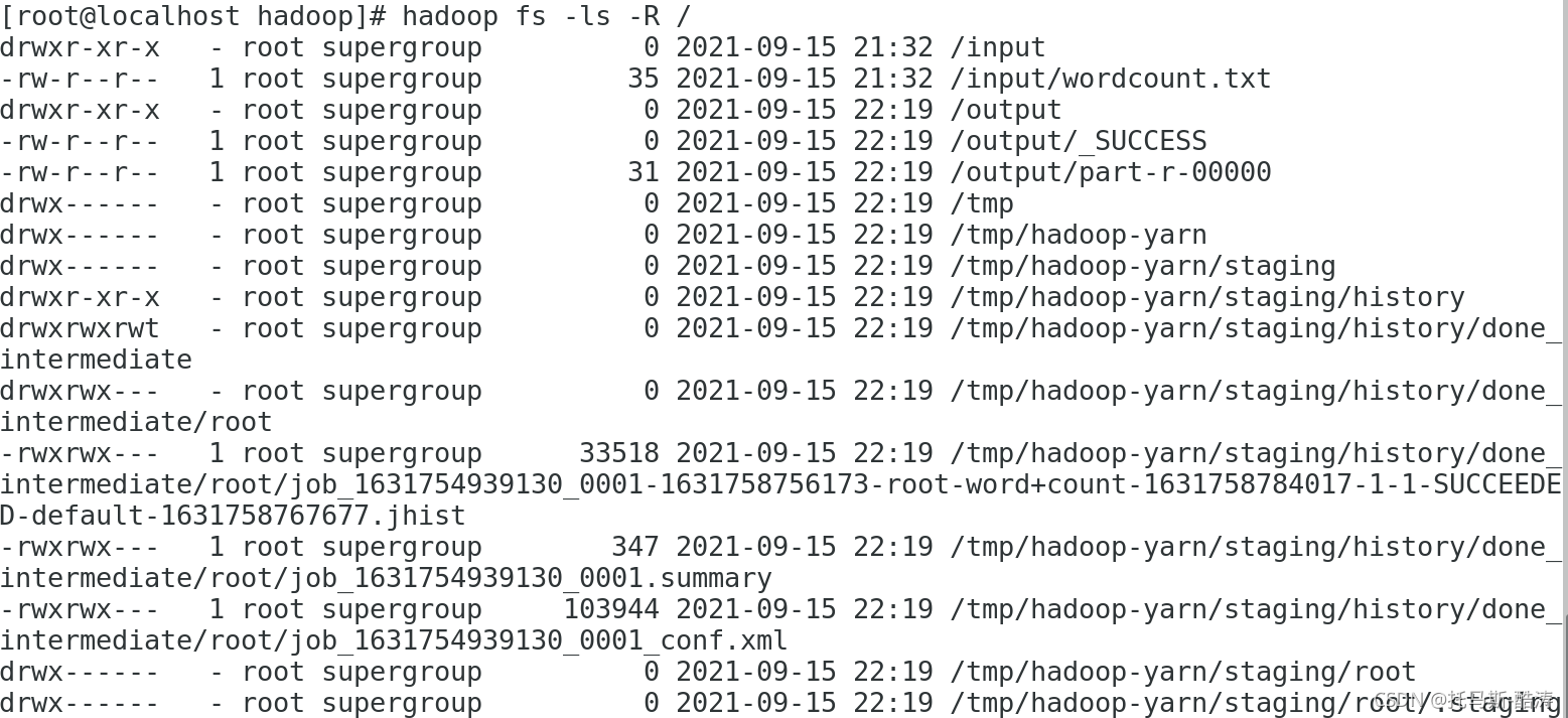 三十二、基于hadoop伪分布式运行hadoop自带wordcount案例 Hadoop伪分布式上运行wordcount Csdn博客