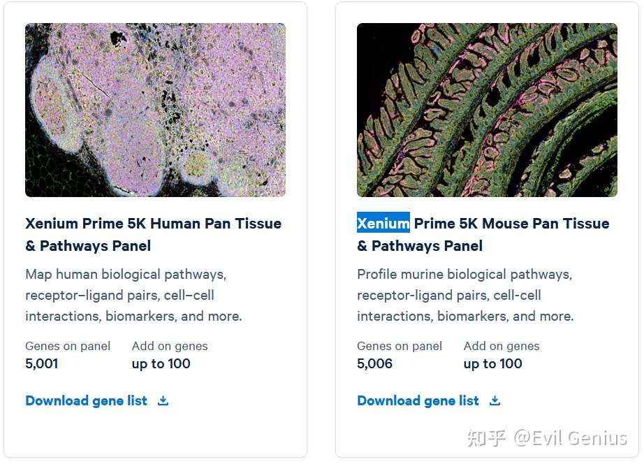 10X Xenium技术将检测基因提高到5000+_10 x xenium建议测序数据量-CSDN博客