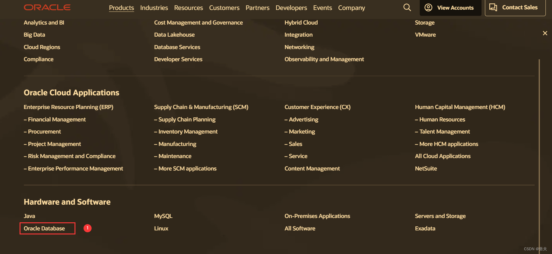 oracle-19c超详细安装过程-windows11系统_win11上安装oracle19c-CSDN博客