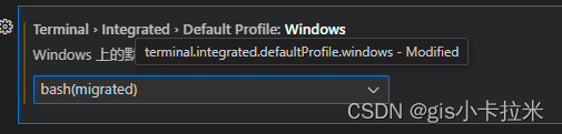 Vscode配置git Bash为终端vscode终端设置为git Bash终端 Csdn博客