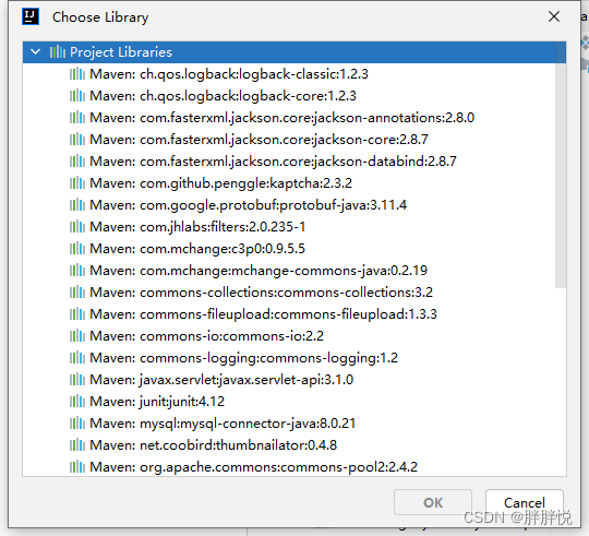 java.lang.ClassNotFoundException: redis.clients.jedis.JedisPoolConfig报错解决-CSDN博客