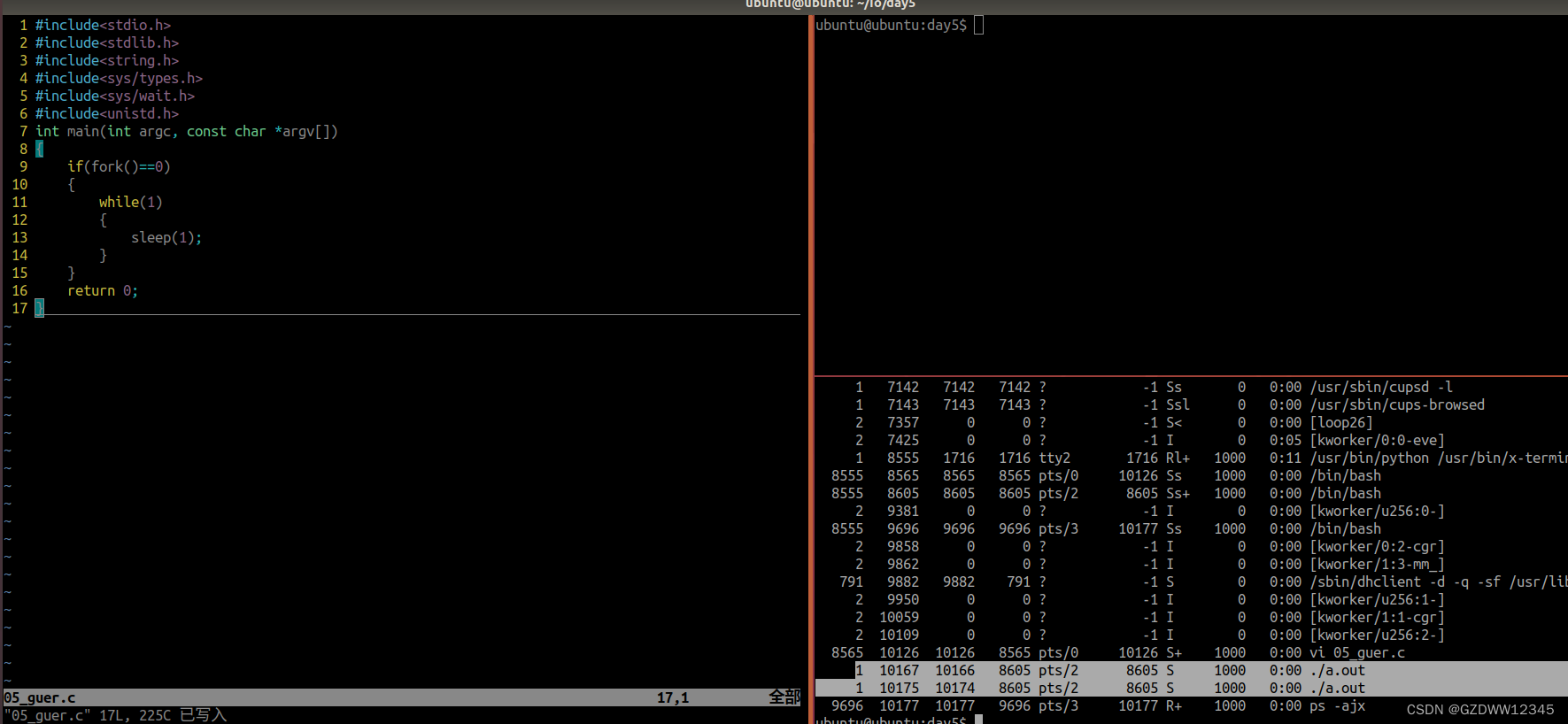 Io学习及作业day5-CSDN博客