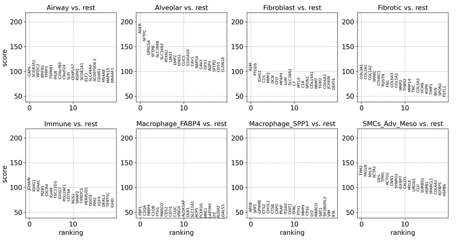 空间转录组niche通路富集与空间“hotspot”-CSDN博客
