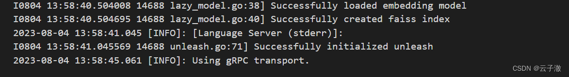 codeium 显示failed to start language server_codeium language server-CSDN博客