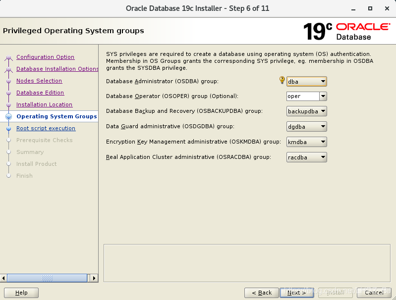 Centos7.X Oracle19c RAC安装参考_set up software only-CSDN博客