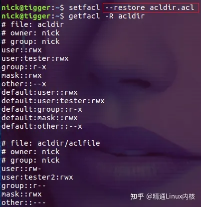 解析Linux权限管理：ACL 权限_ubuntu acl-CSDN博客